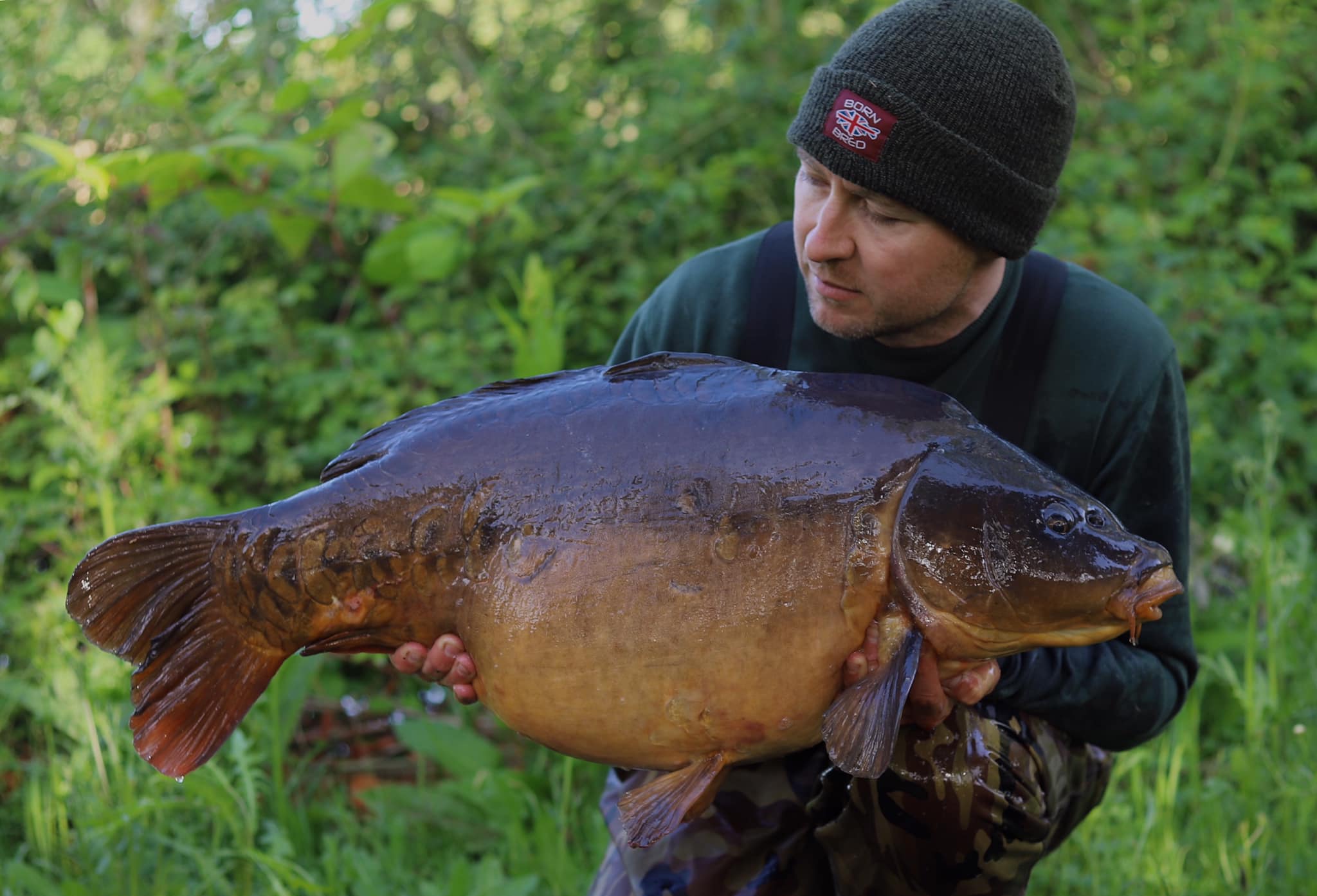 Buy The Best Carp Bait, Carp Boilies For Sale - Baitworks